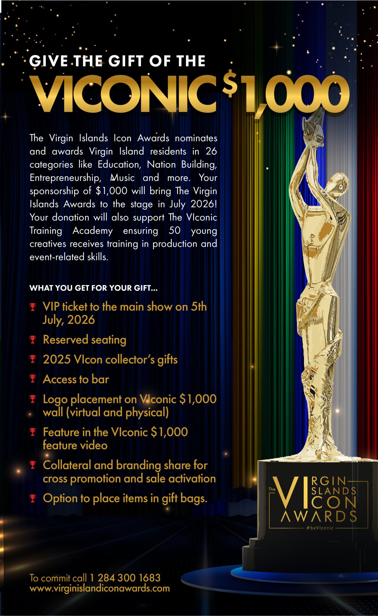 The VIconic Training Academy - The Virgin Islands Icon Awards